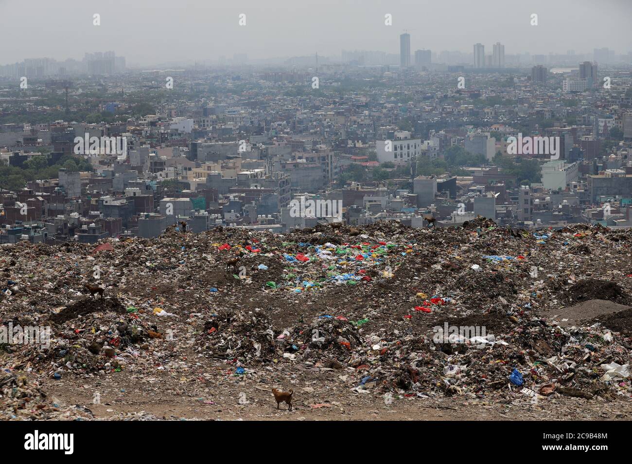 A view of medical wastes disposed at Delhi's biggest landfill Stock ...