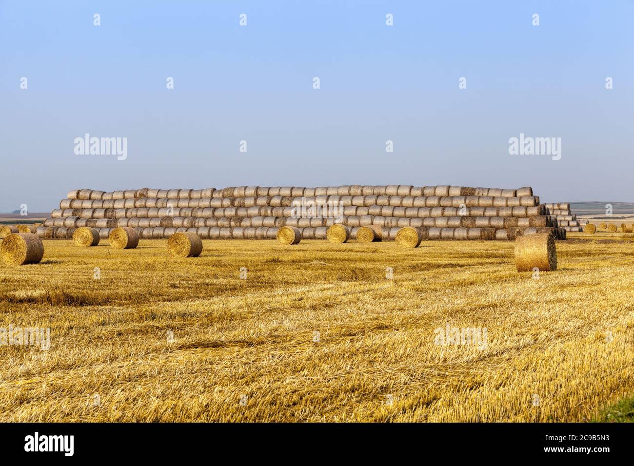 agricultural field with straw stacks Stock Photo - Alamy
