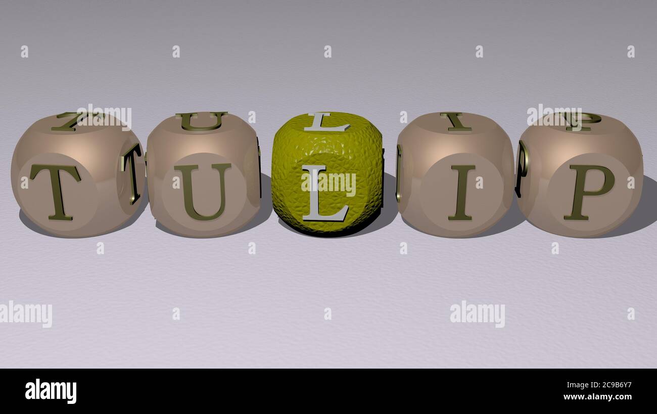 tulip combined by dice letters and color crossing for the related ...