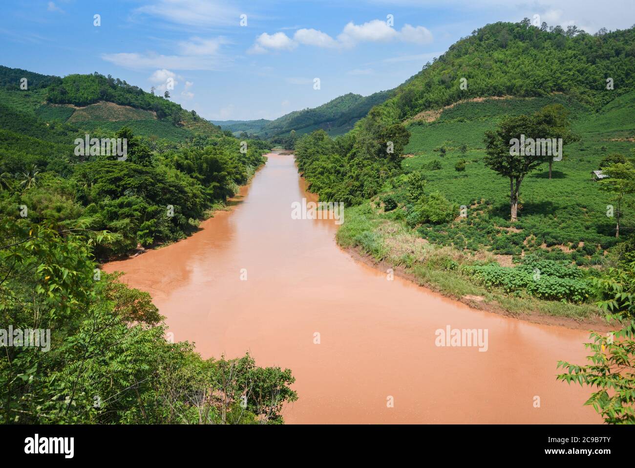 Mountain river water landscape forest / Wild natural scenery of river ...