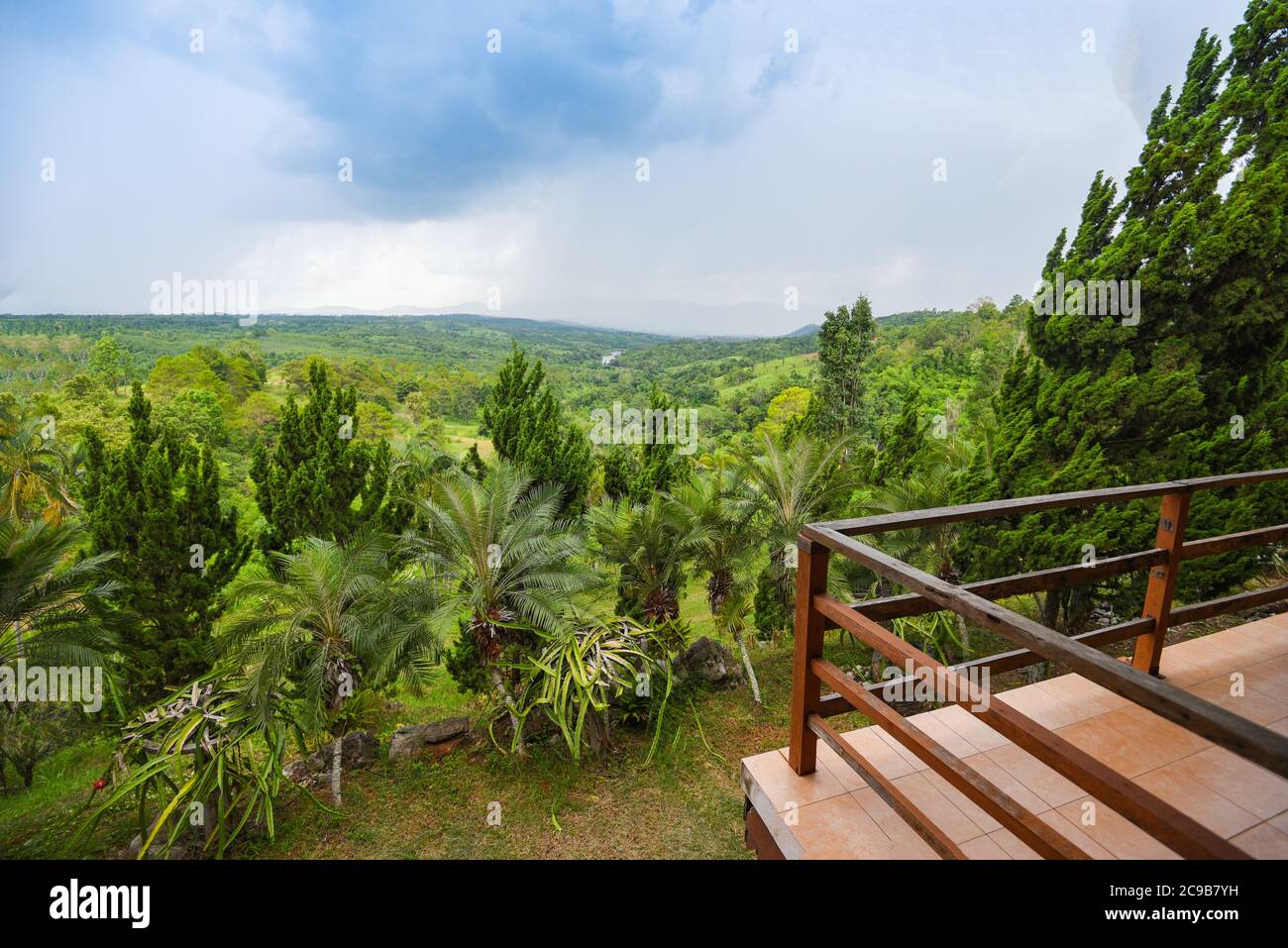 balcony and nature green tree forest / balcony view Stock Photo - Alamy