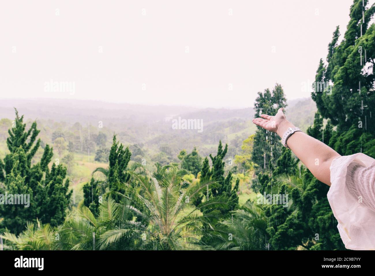hand catching rain drops on nature green background / Woman hands ...