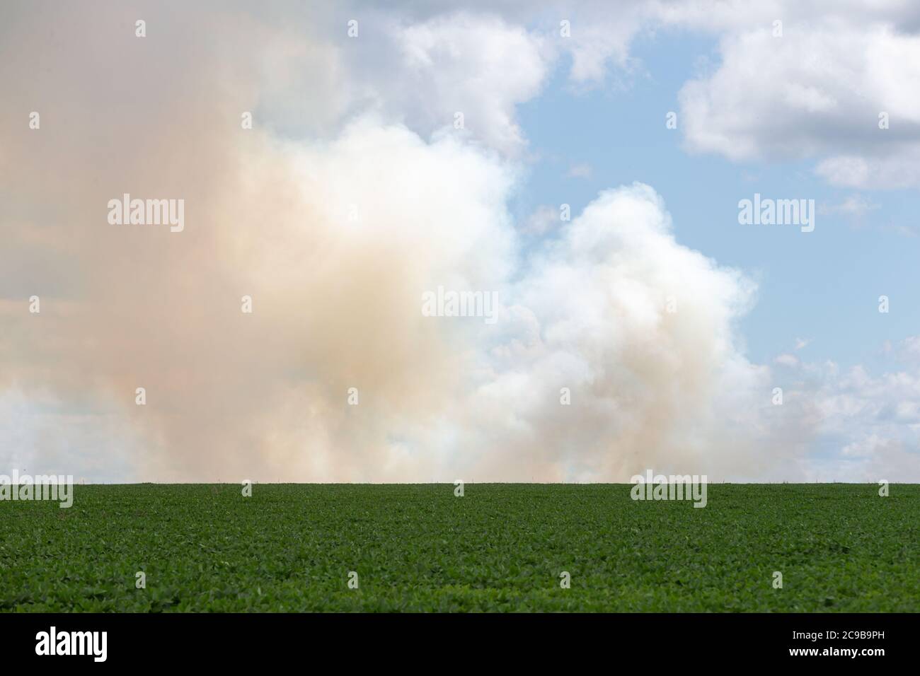 Soy crop fire hi-res stock photography and images - Alamy