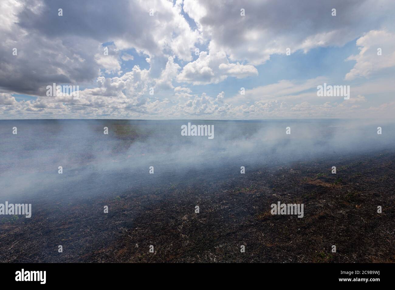 Fire burning on crop field - hot accident lighting bolt Stock Photo - Alamy