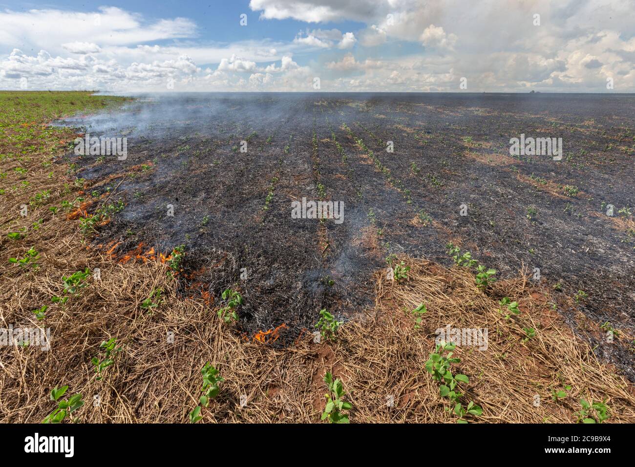 Fire burning on crop field - hot accident lighting bolt Stock Photo - Alamy