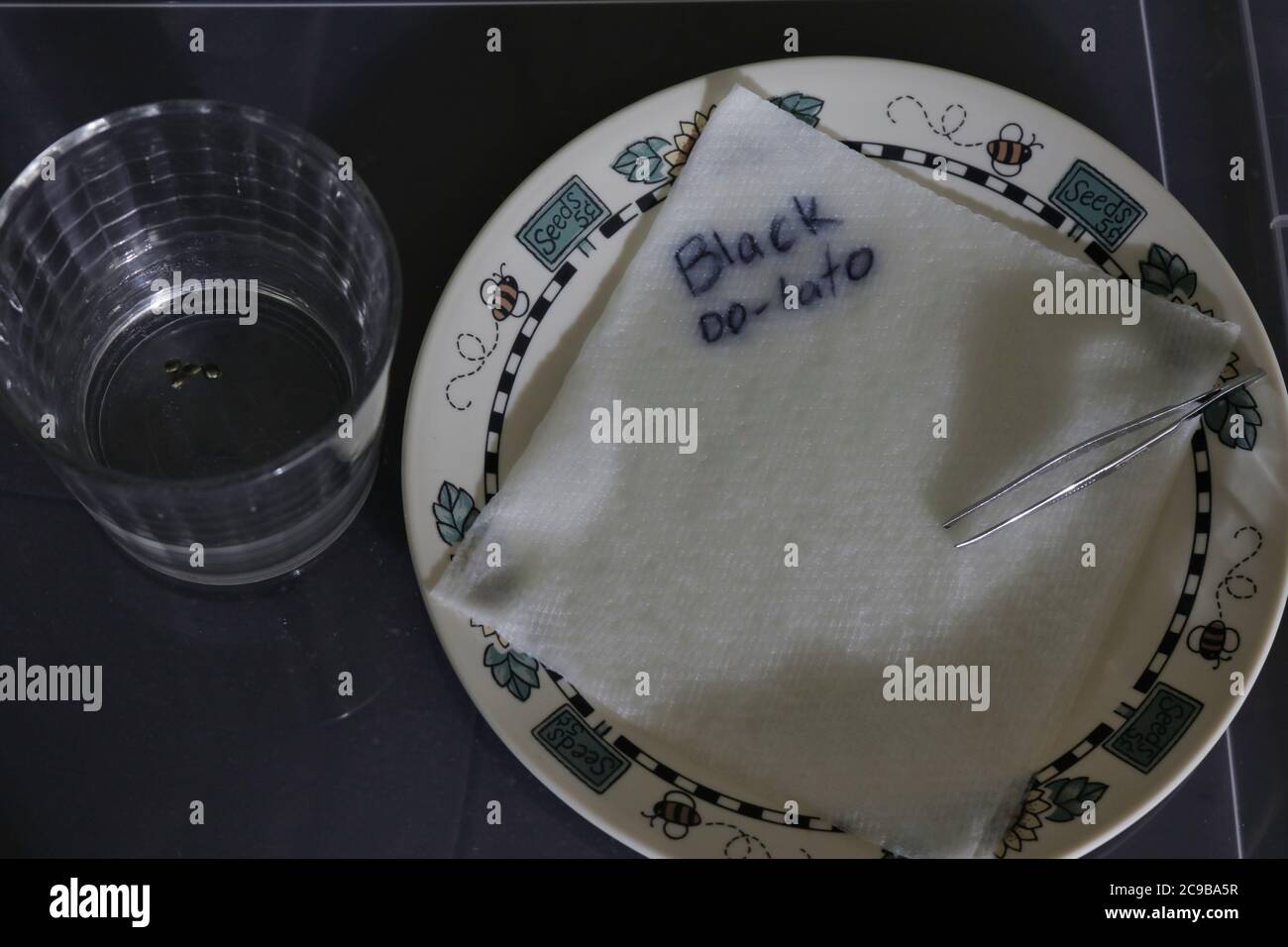 Cannabis grow start hi-res stock photography and images - Alamy