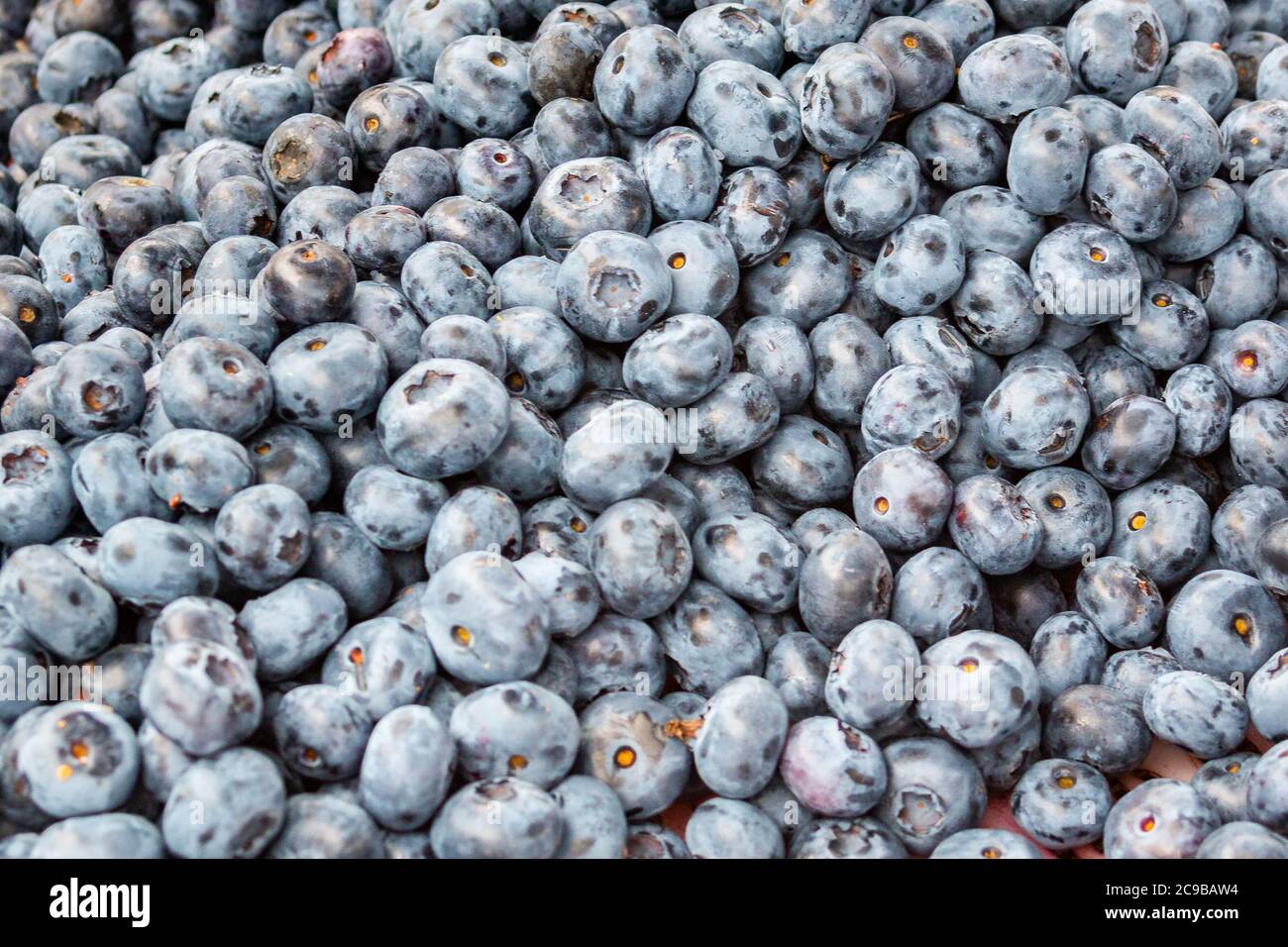 Solid background of fresh ripe and natural blueberries Stock Photo - Alamy