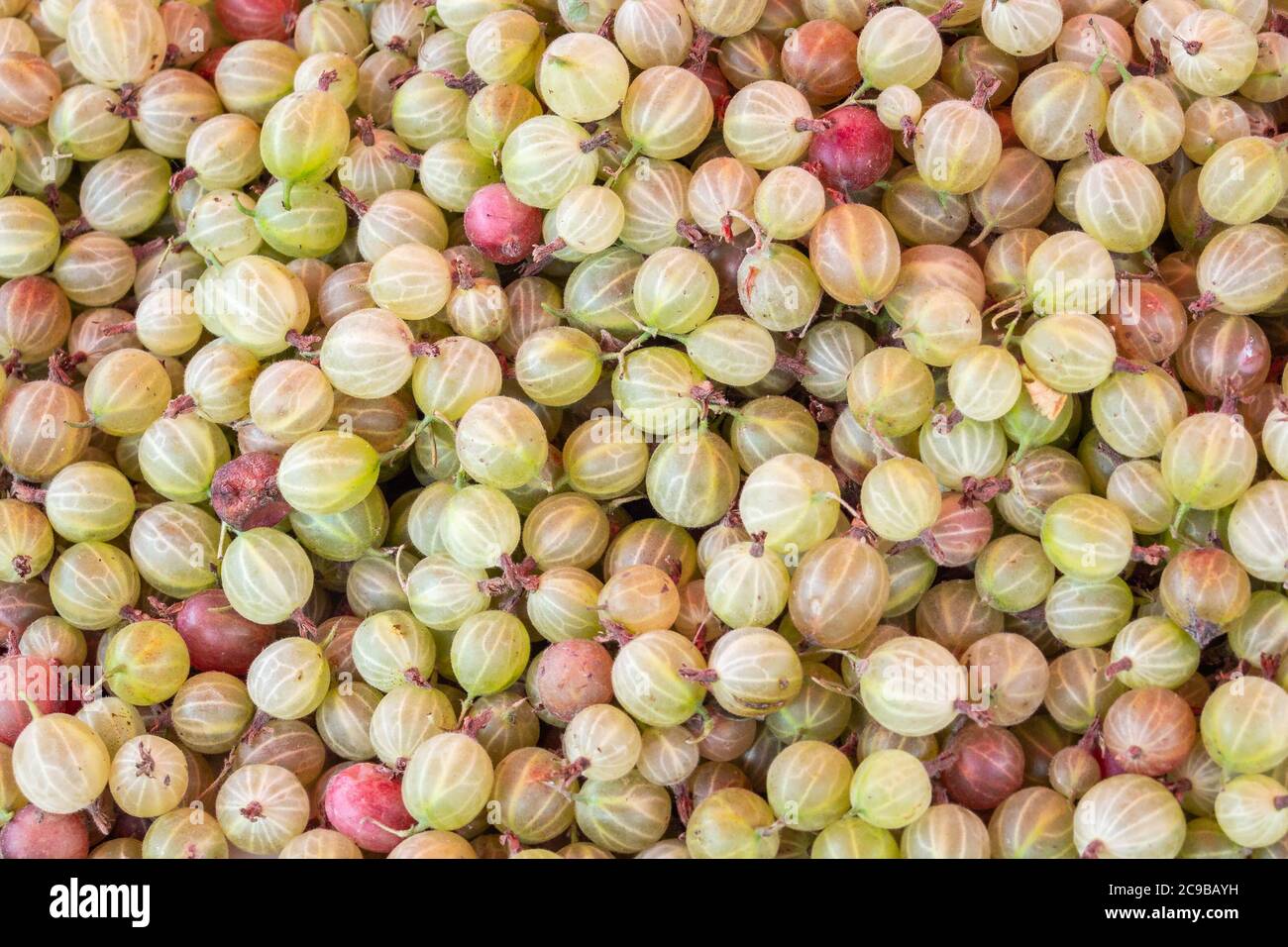 Solid background of fresh ripe and natural red gooseberries Stock Photo ...