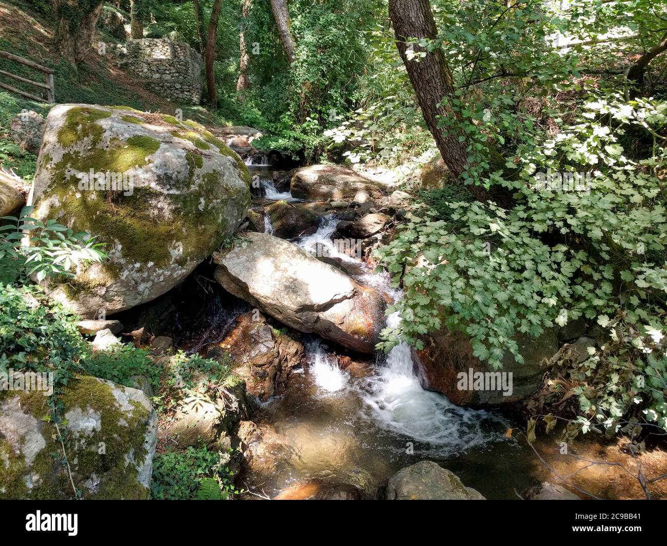 The view of the fast river through forest in the summer time, Italy ...