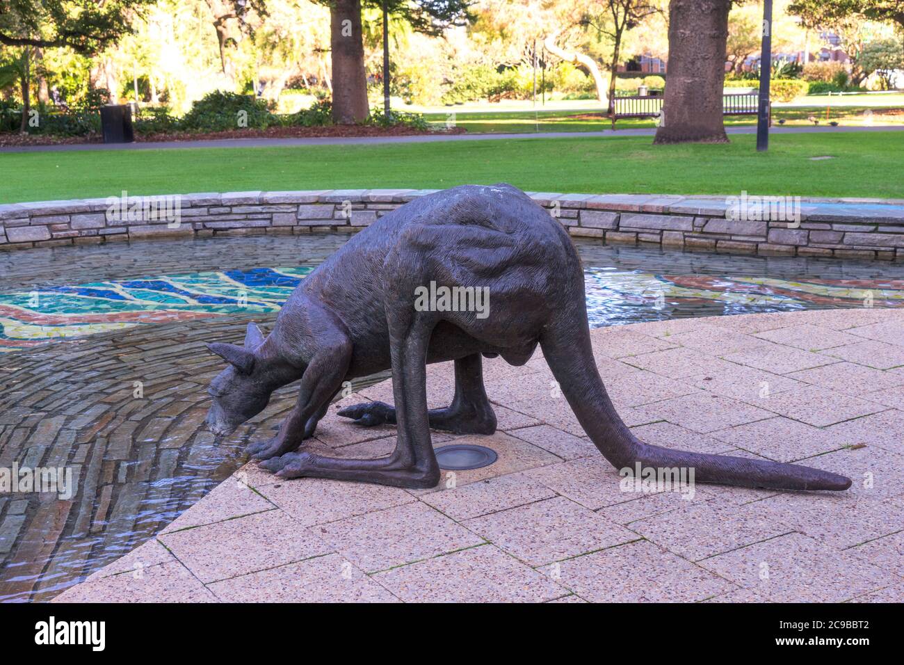 Perth, Western Australia - Jun, 2020: Kangaroos in the City. Bronze ...