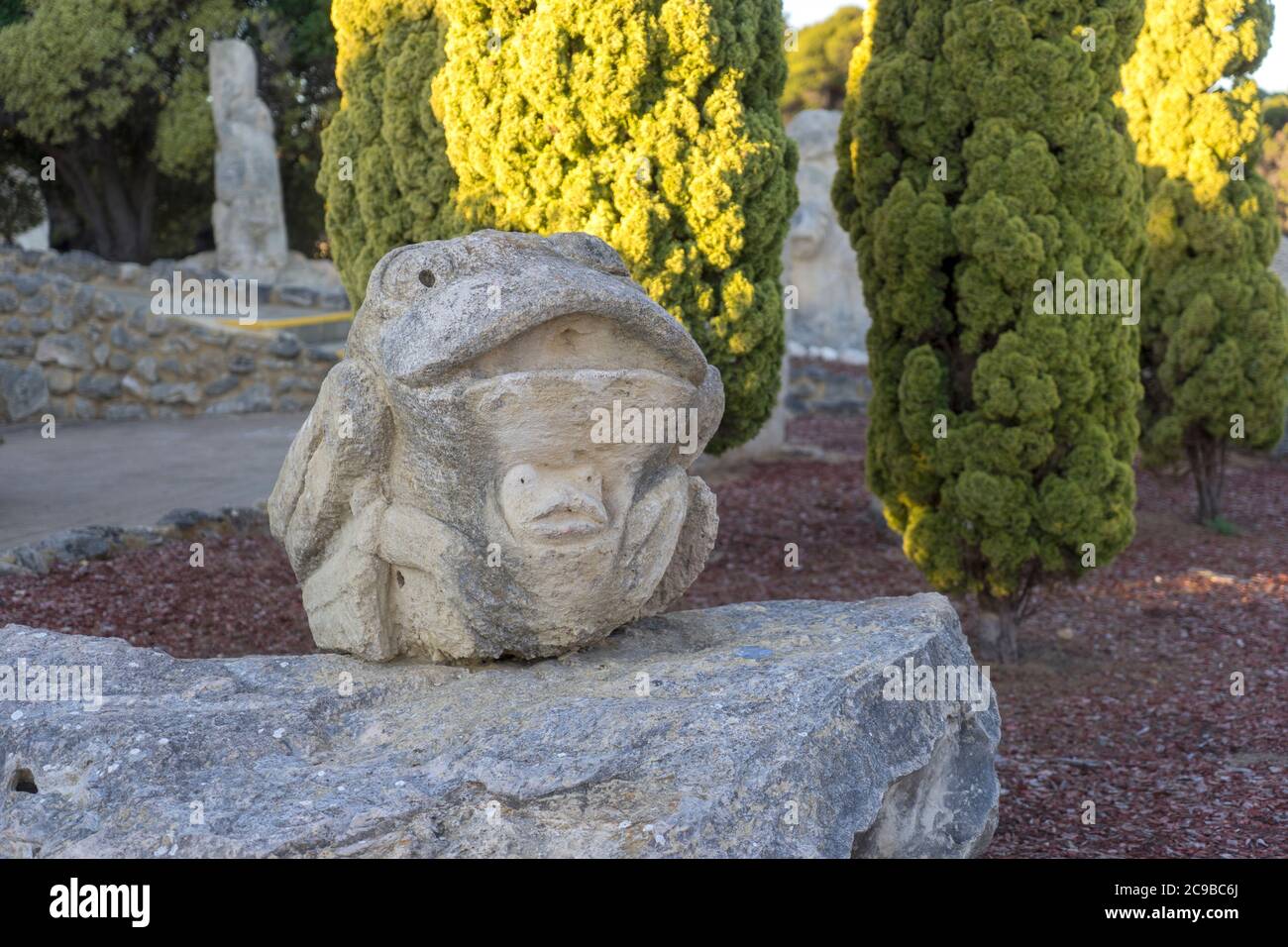 Frog australia aboriginal hi-res stock photography and images - Alamy
