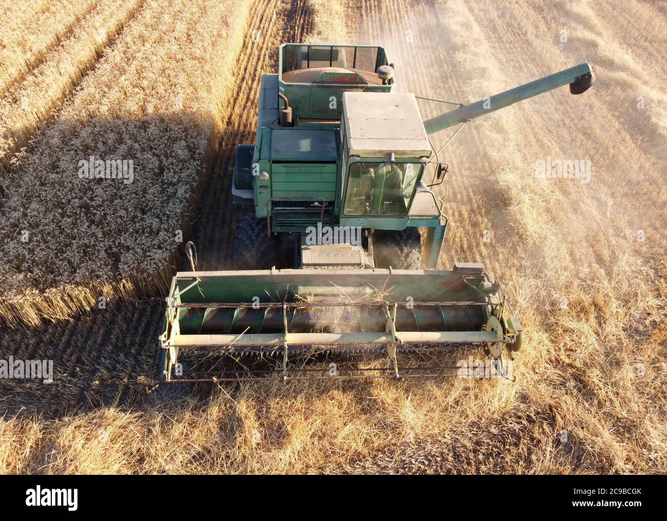Equipment for harvesting grain crops, the combine threshes grain in the ...