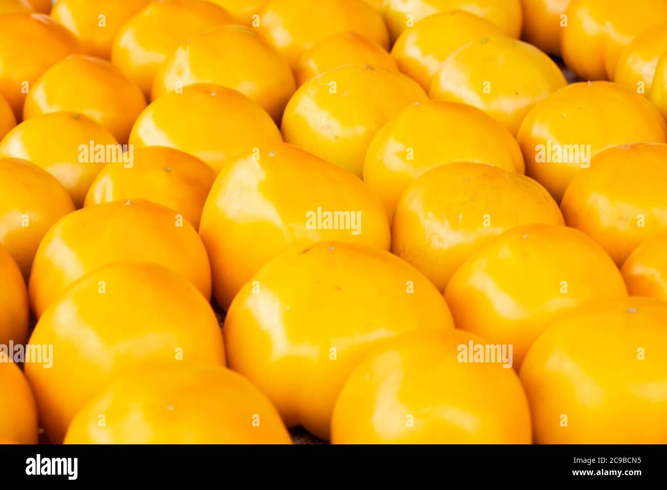 Solid Background High Resolution Stock Photography and Images - Alamy