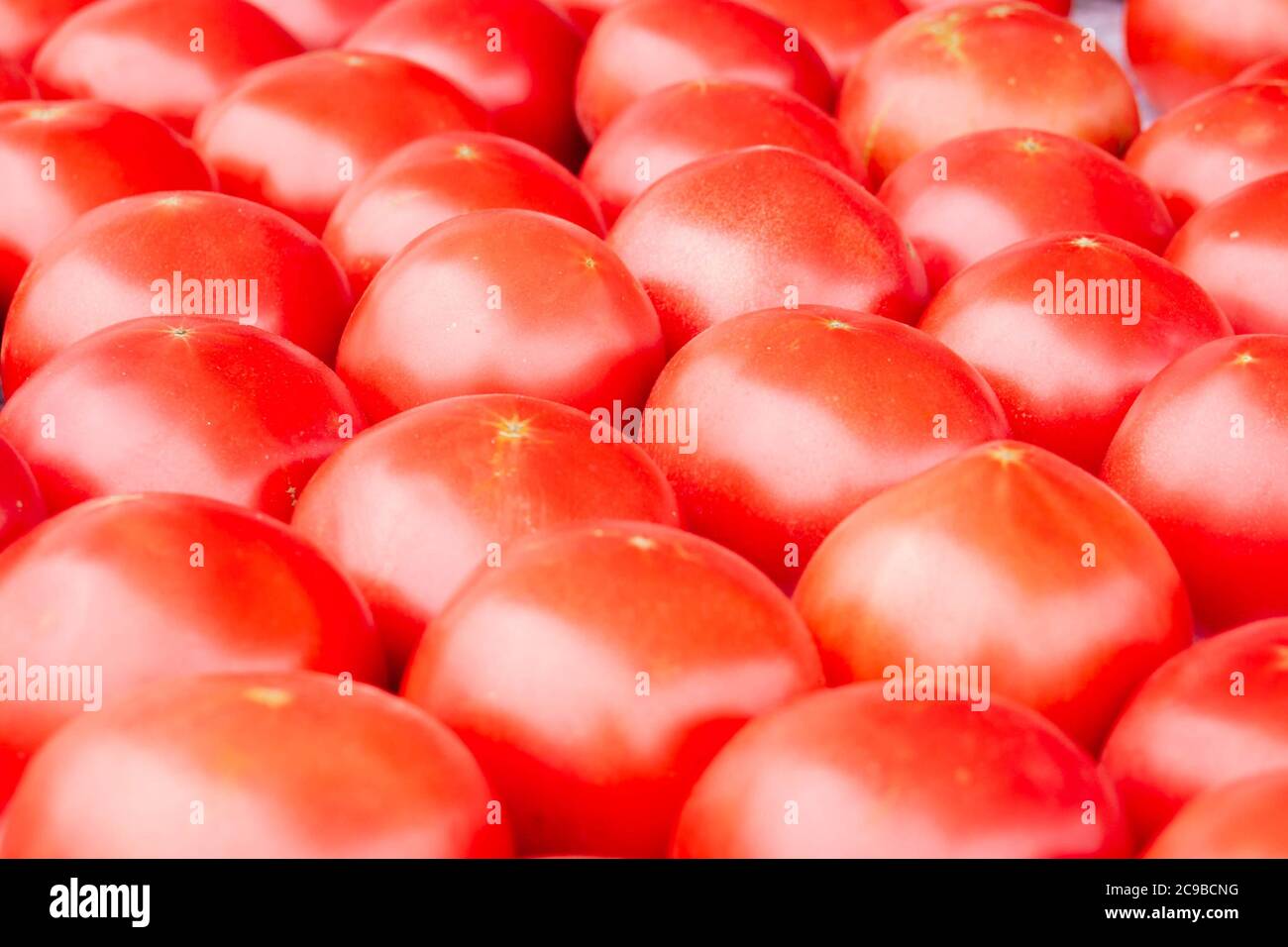 Solid background of fresh ripe and natural red tomatoes Stock Photo - Alamy