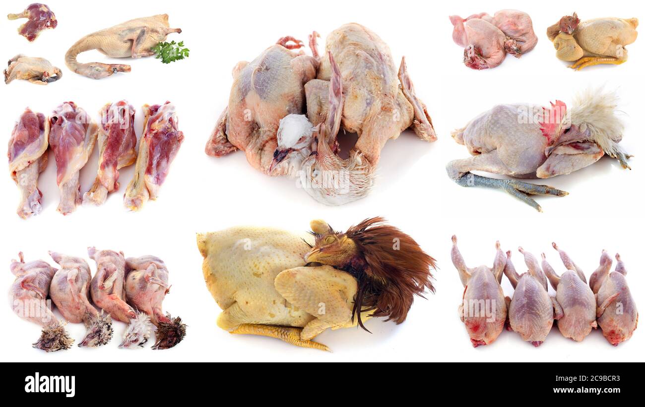 poultry meat in front of white background Stock Photo - Alamy