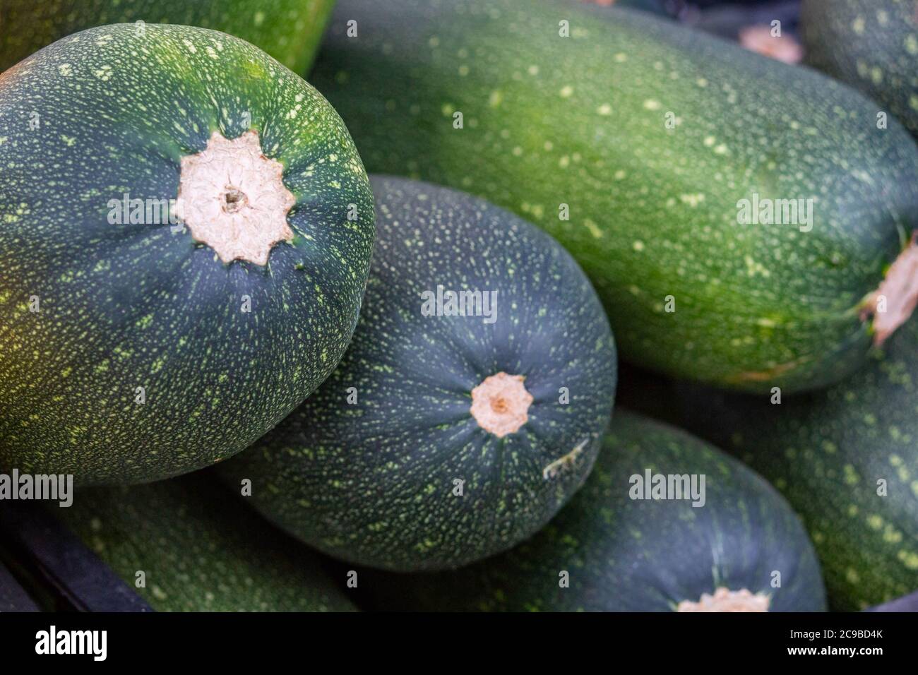 Solid background of fresh ripe and natural zucchini Stock Photo - Alamy