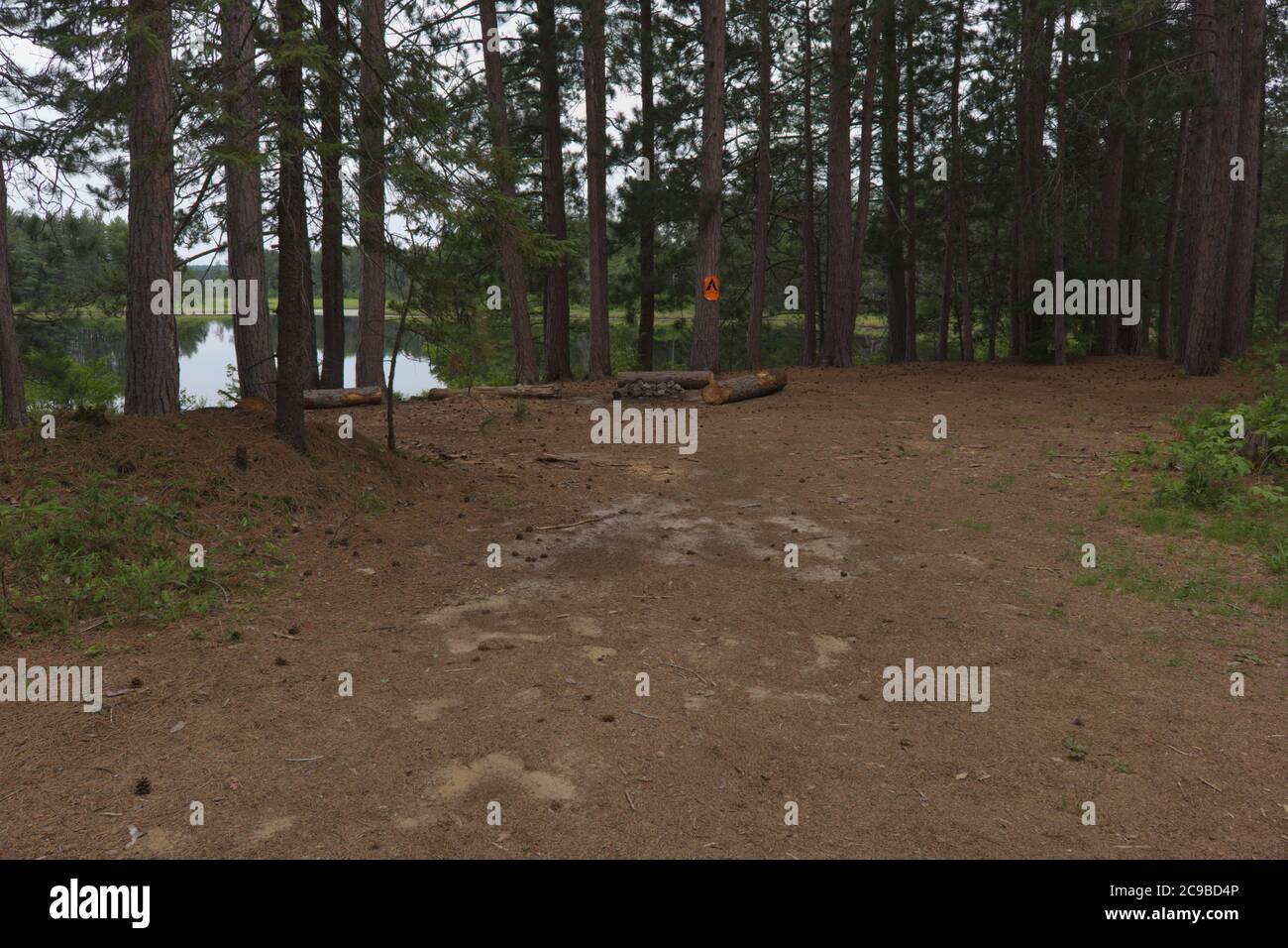 Forest campsite fire pit hi-res stock photography and images - Alamy