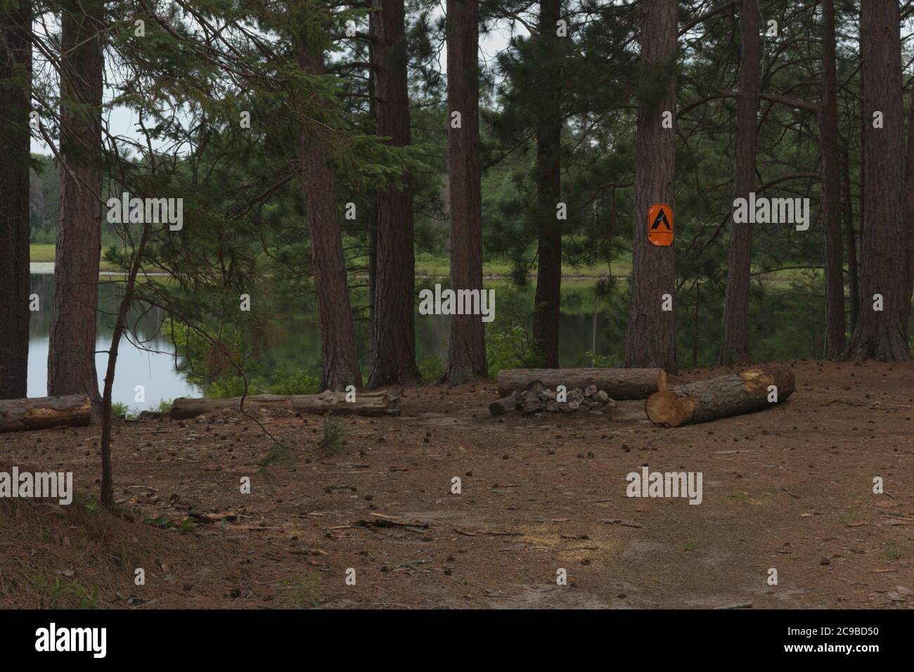 Public camp ground with fire pit and logs Stock Photo - Alamy