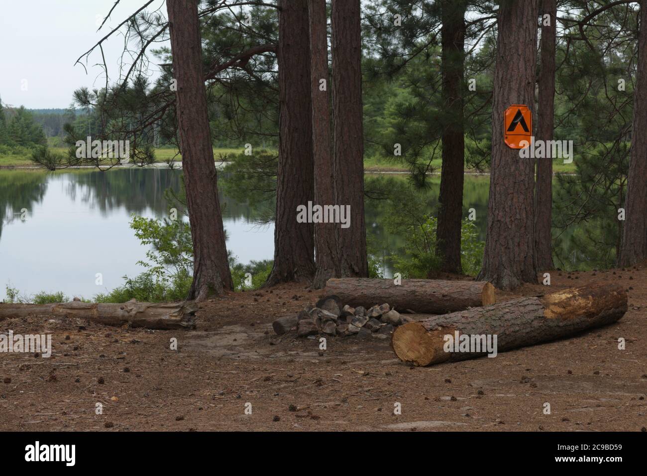 Forest campsite fire pit hi-res stock photography and images - Alamy