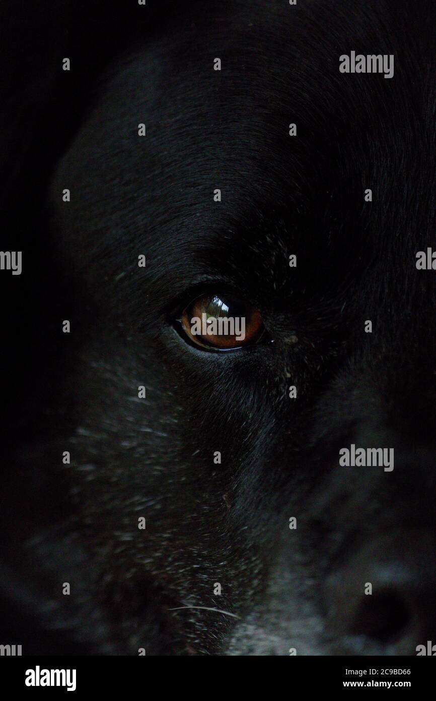 Close up beautiful wide hi-res stock photography and images - Alamy