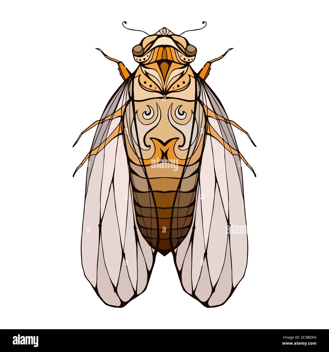 Cicada Drawing Cicada Clipart Free Download