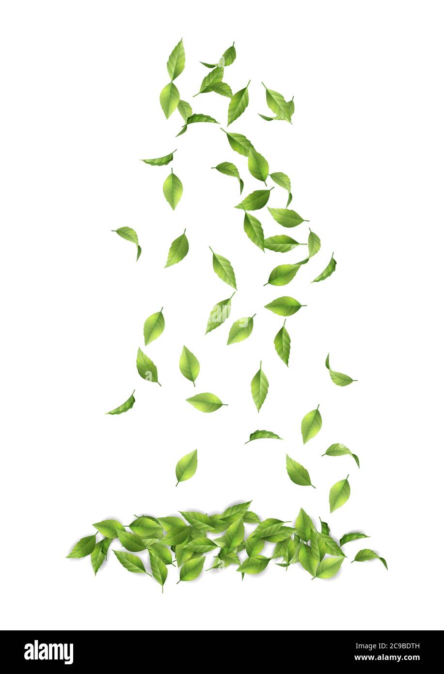 Green Leaves Falling