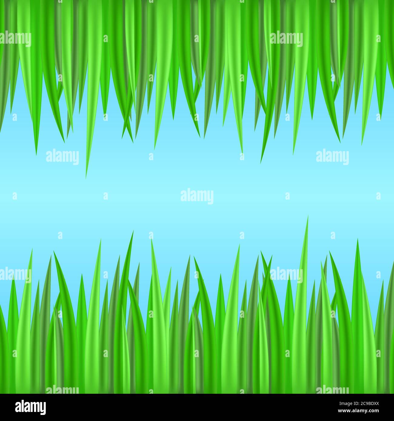 Seamless borders with realistic grass. Vector element for your ...