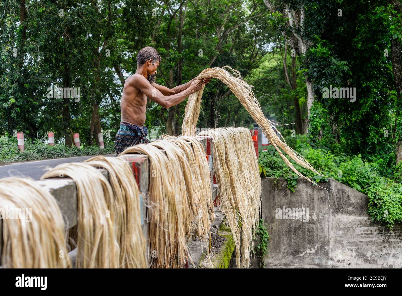 Dhaka, Bangladesh. 28th July, 2020. Bangladeshi farmer sets jute on a rack to dry. Jute is ...