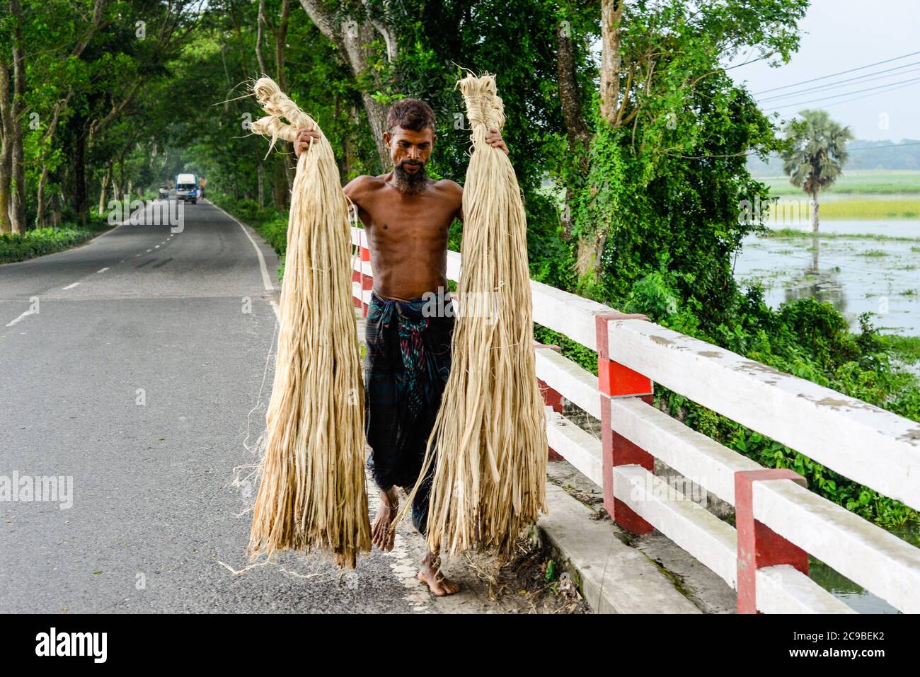 Dhaka, Bangladesh. 28th July, 2020. Bangladeshi farmer carries freshly harvested jute. Jute is ...