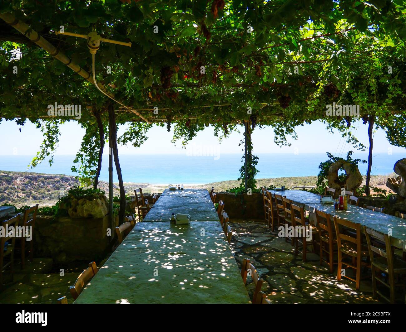 Al fresco under the grape vine Stock Photo - Alamy