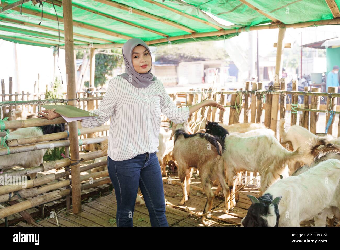 muslim veterinarian medical check up the goat at traditional farm Stock ...