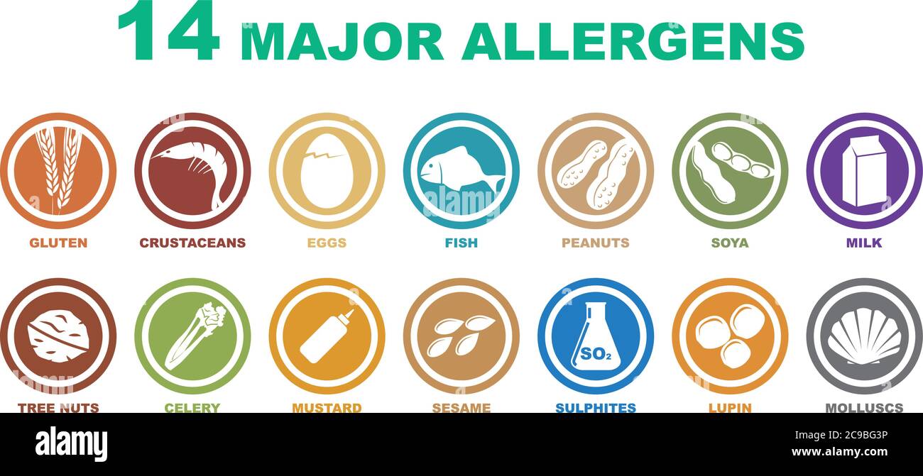 set of 14 major allergens icons on white background Stock Vector Image ...