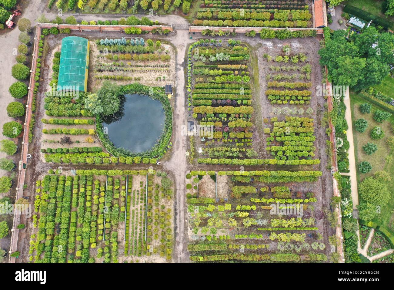 Aerial views of tree nursery Stock Photo - Alamy