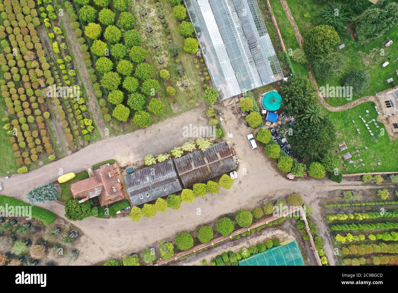Aerial views of tree nursery Stock Photo - Alamy
