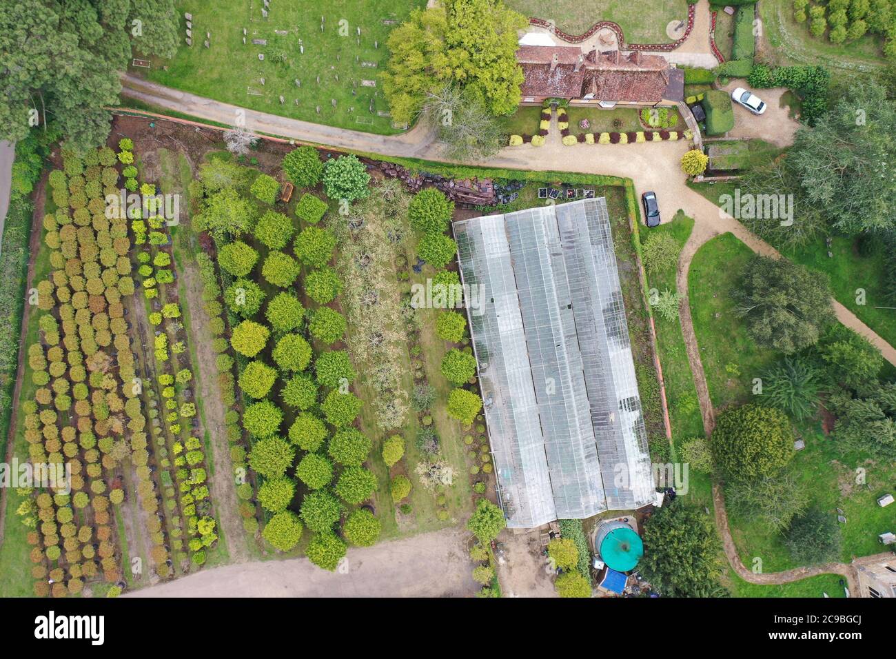 Aerial views of tree nursery Stock Photo - Alamy