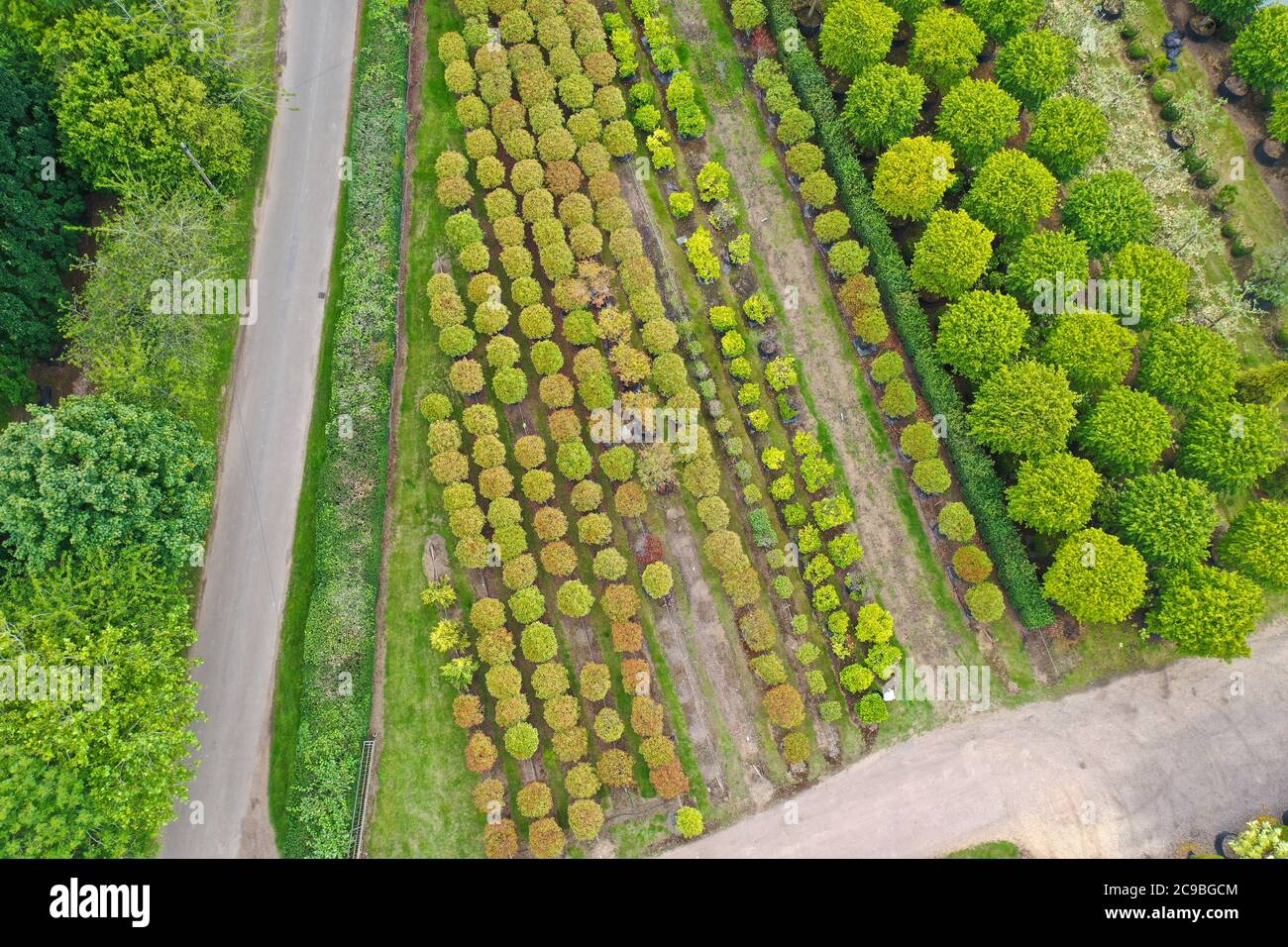 Aerial views of tree nursery Stock Photo - Alamy