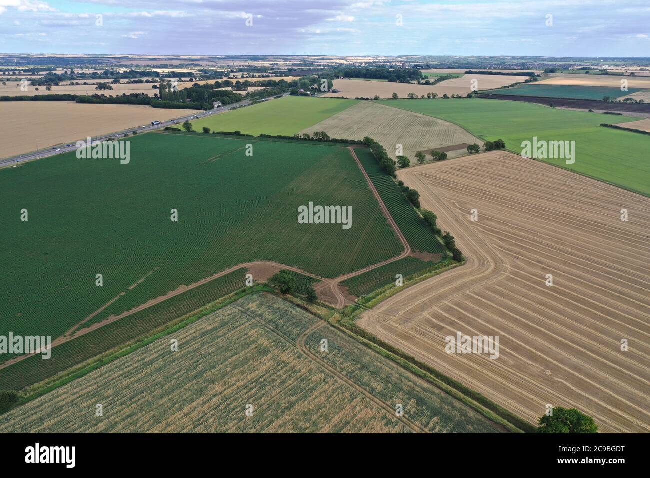 Corn rows, aerial views Stock Photo - Alamy