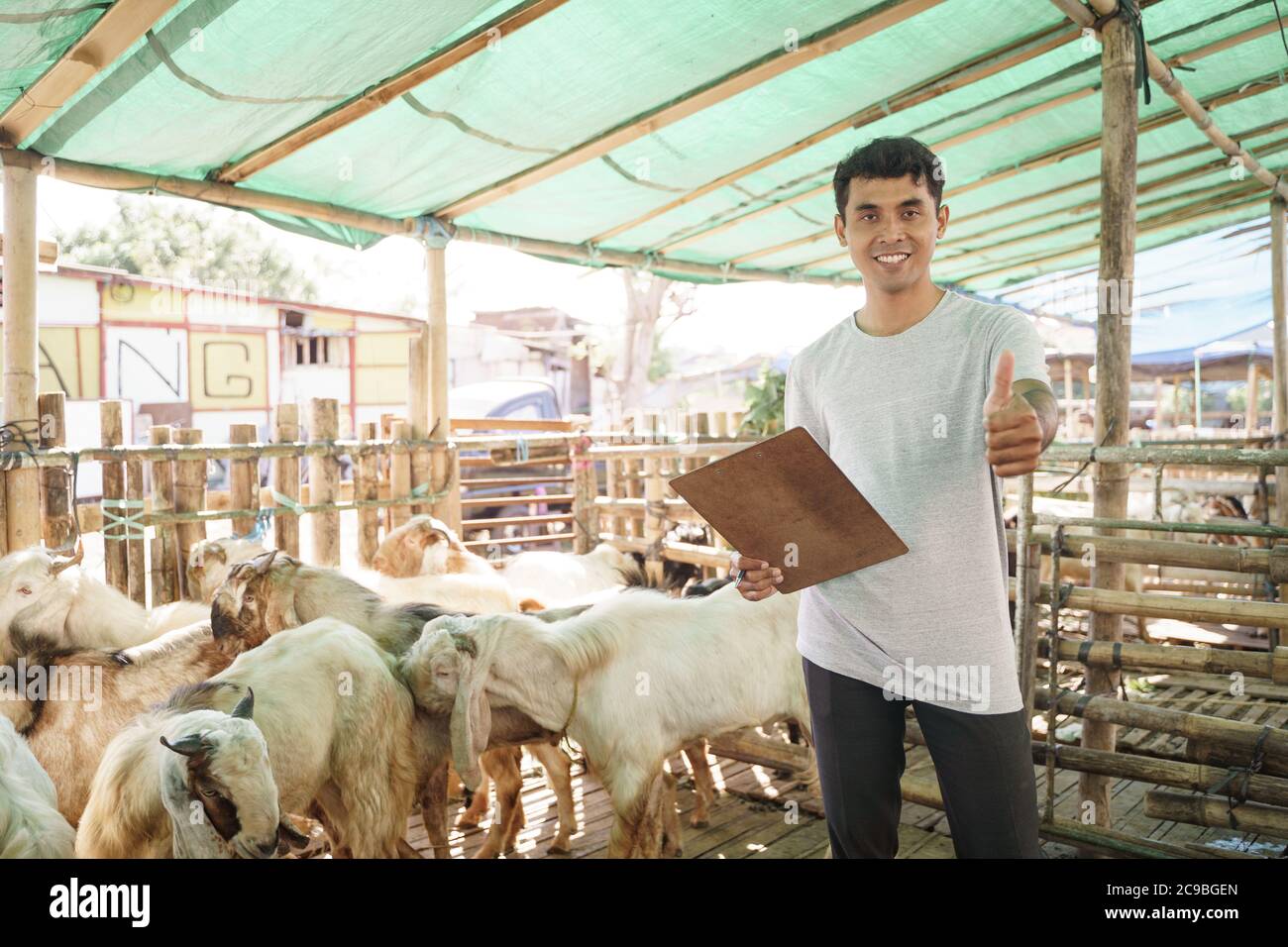 farmer animal worker at his traditional farm looking and checking for ...