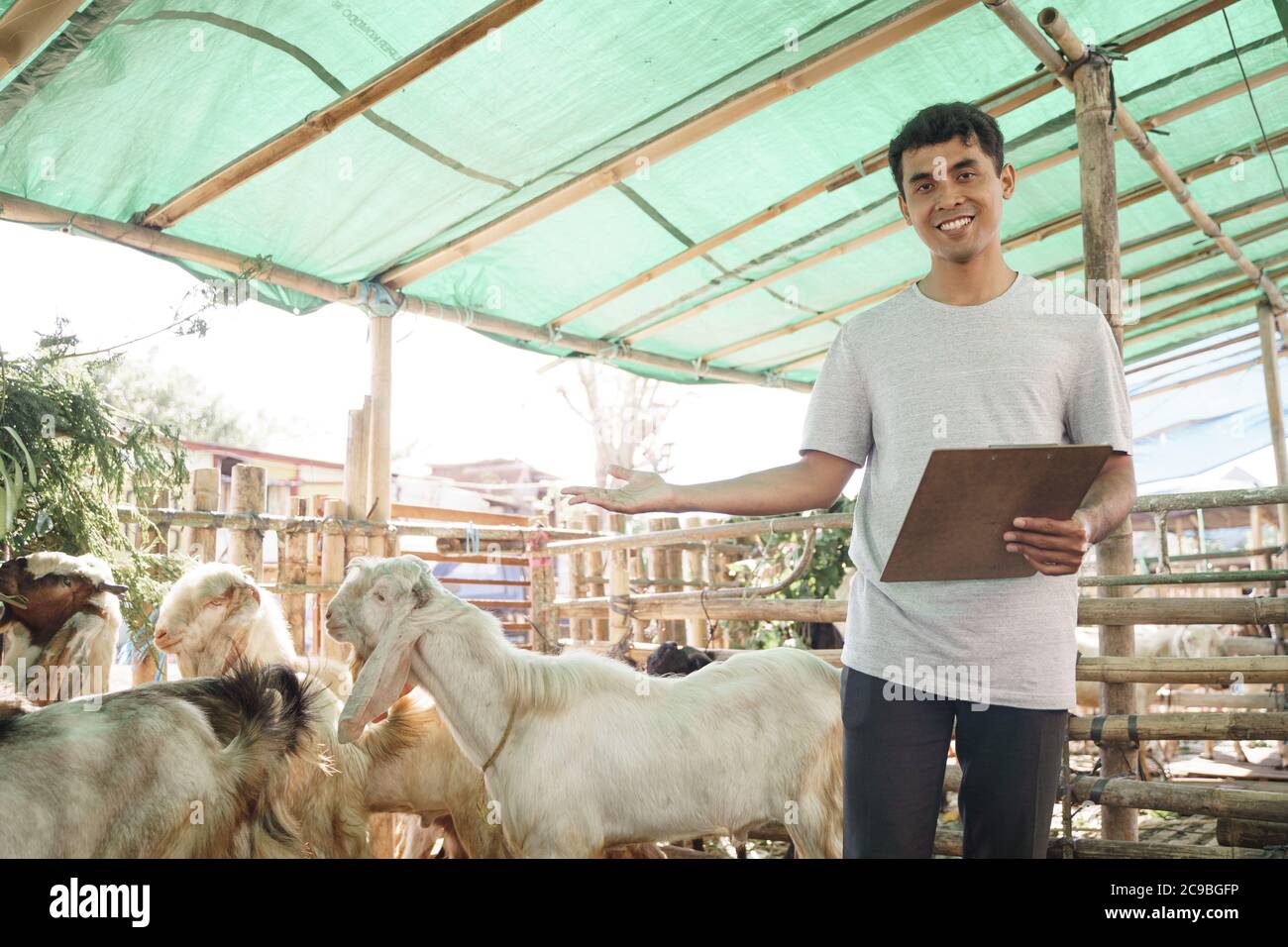 farmer animal worker at his traditional farm looking and checking for ...