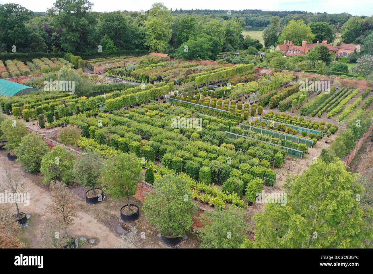 Aerial views of tree nursery Stock Photo - Alamy