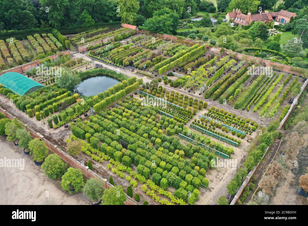 Aerial view of tree nursery Stock Photo - Alamy