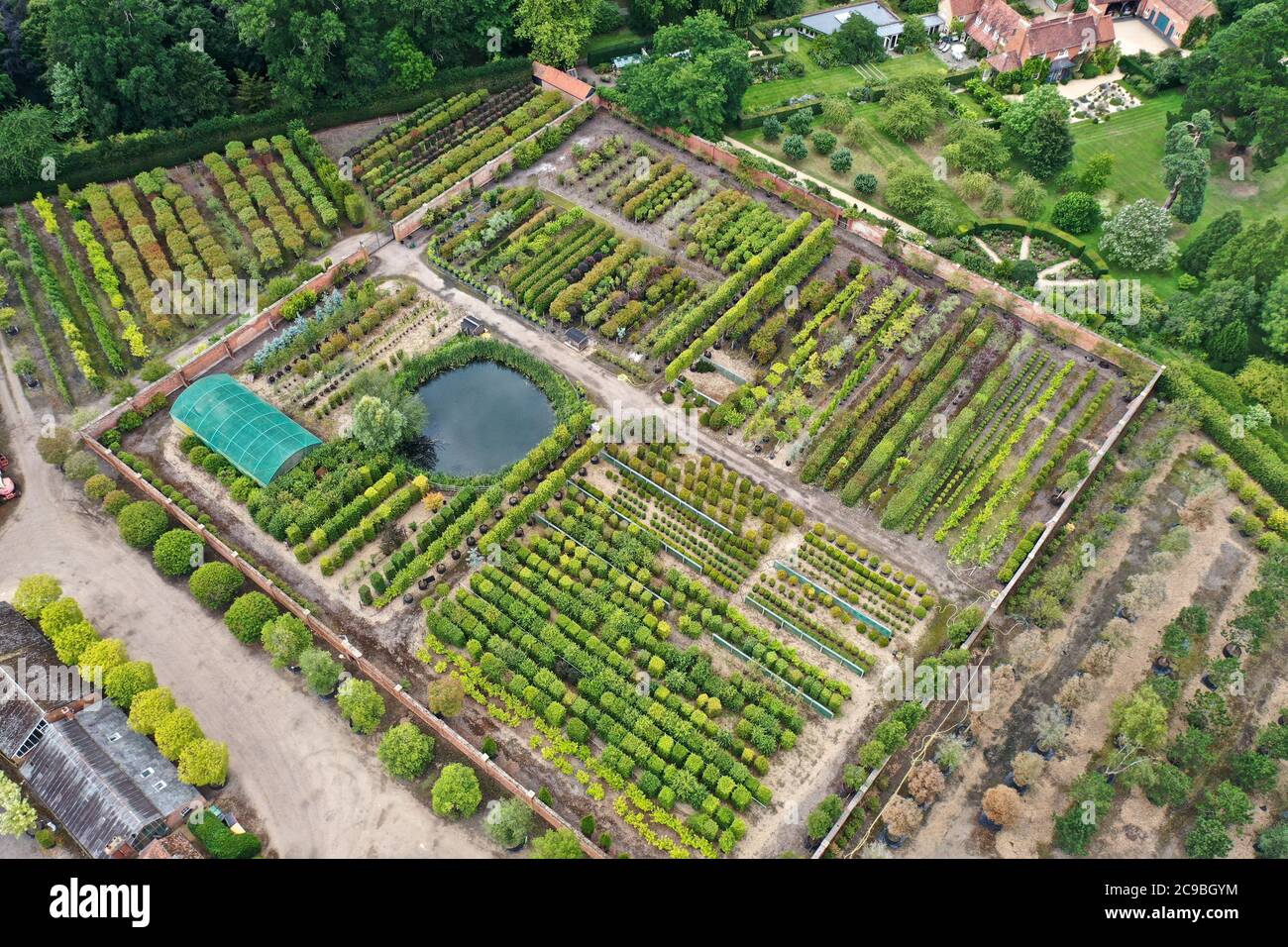 Aerial view of tree nursery Stock Photo - Alamy