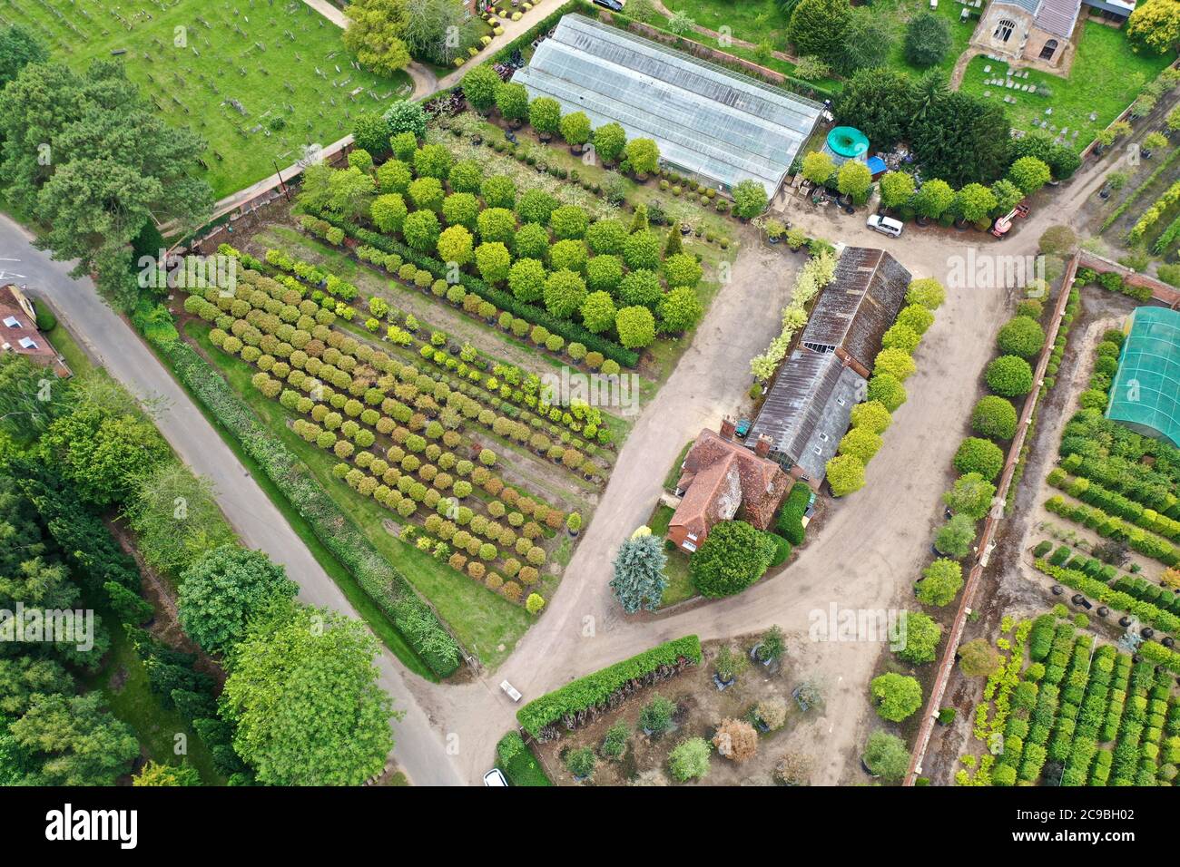 Aerial view of tree nursery Stock Photo - Alamy