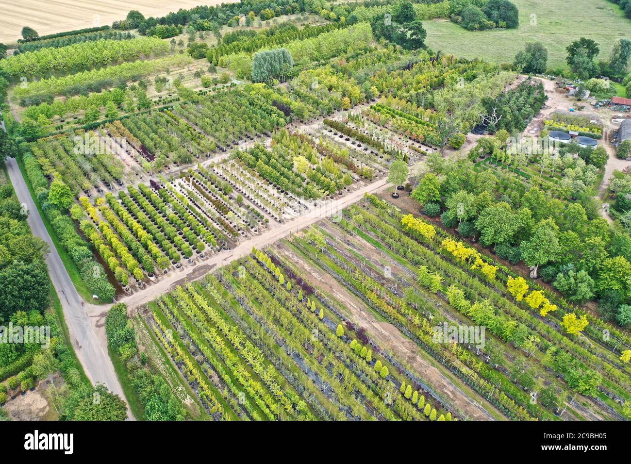 Aerial view of tree nursery Stock Photo - Alamy