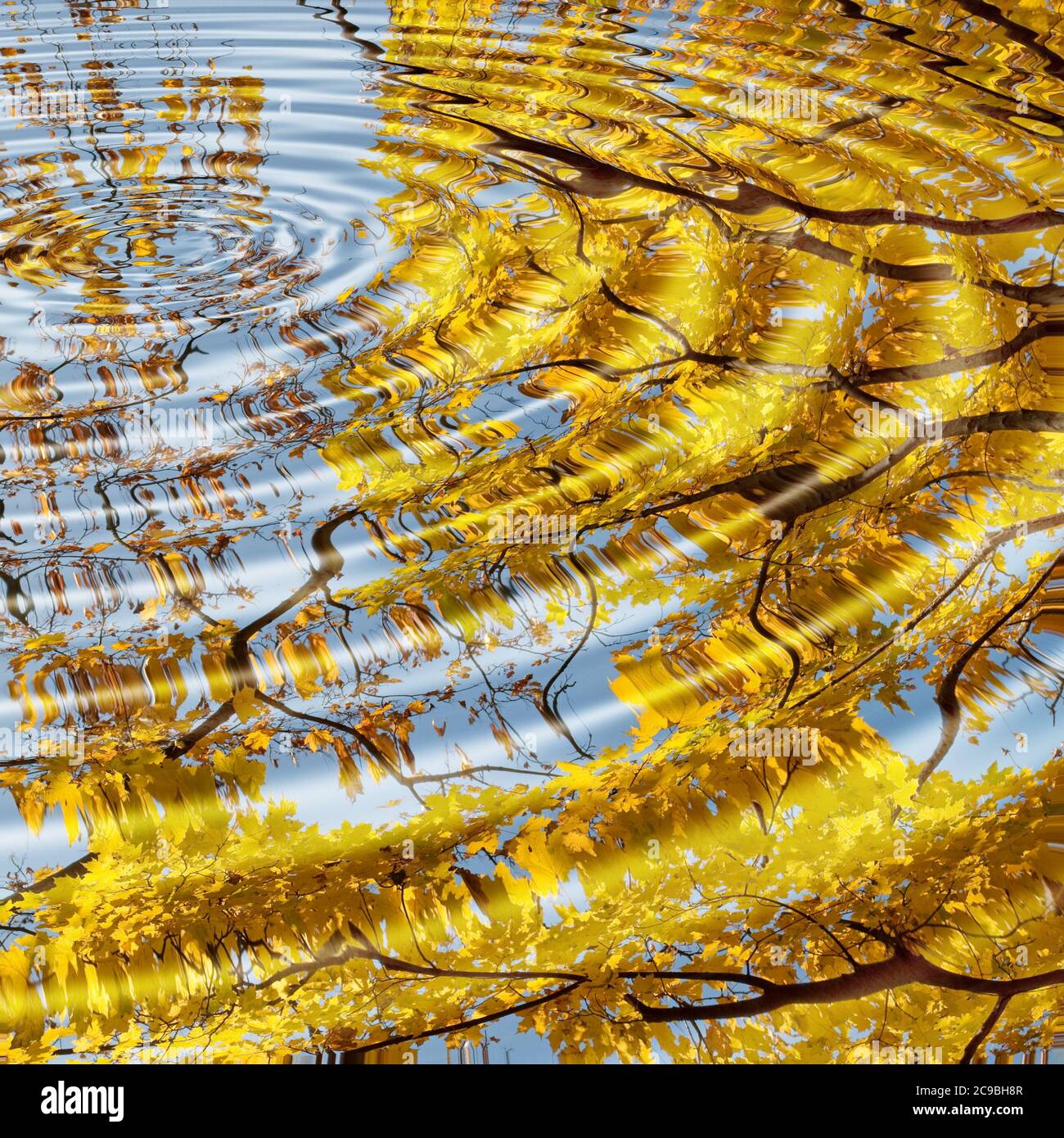 Fall colors are reflected in the water, reflection Stock Photo - Alamy