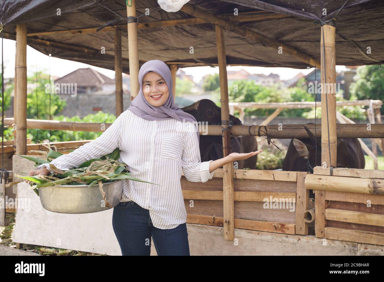 muslim female farmer feeding animal on traditional farm Stock Photo - Alamy