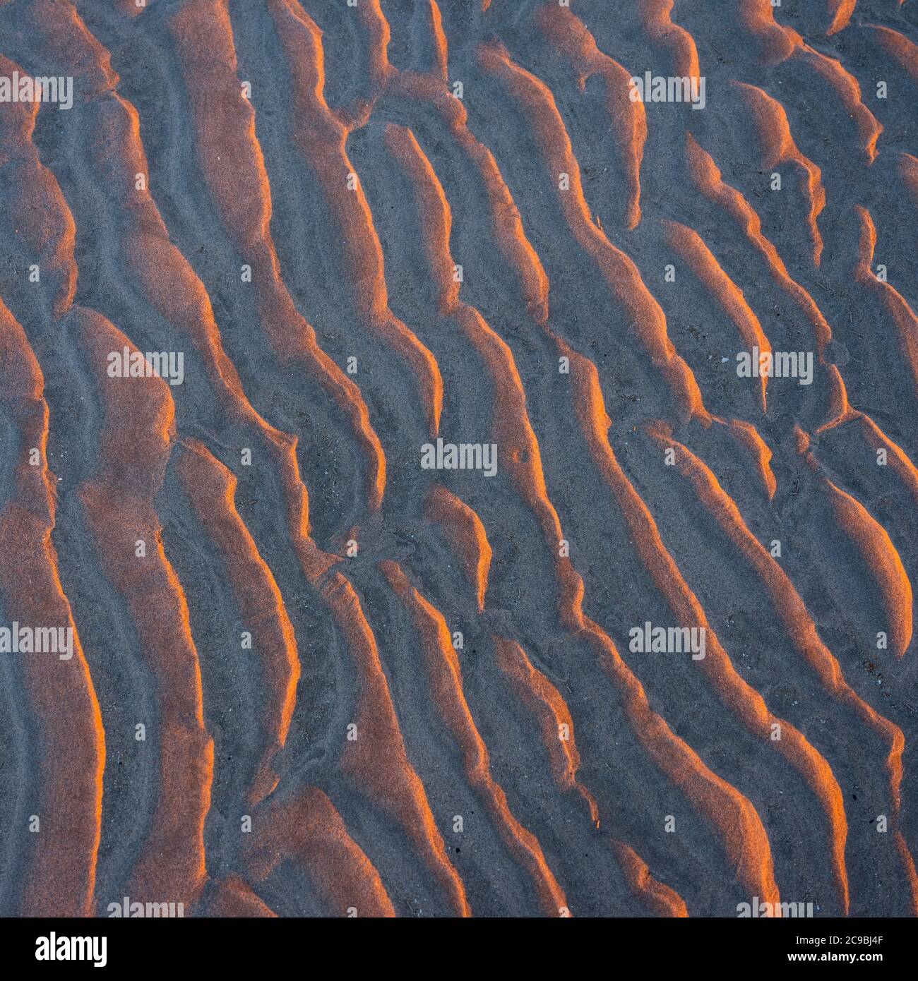sand ripples on beach in warm light of setting sun Stock Photo - Alamy