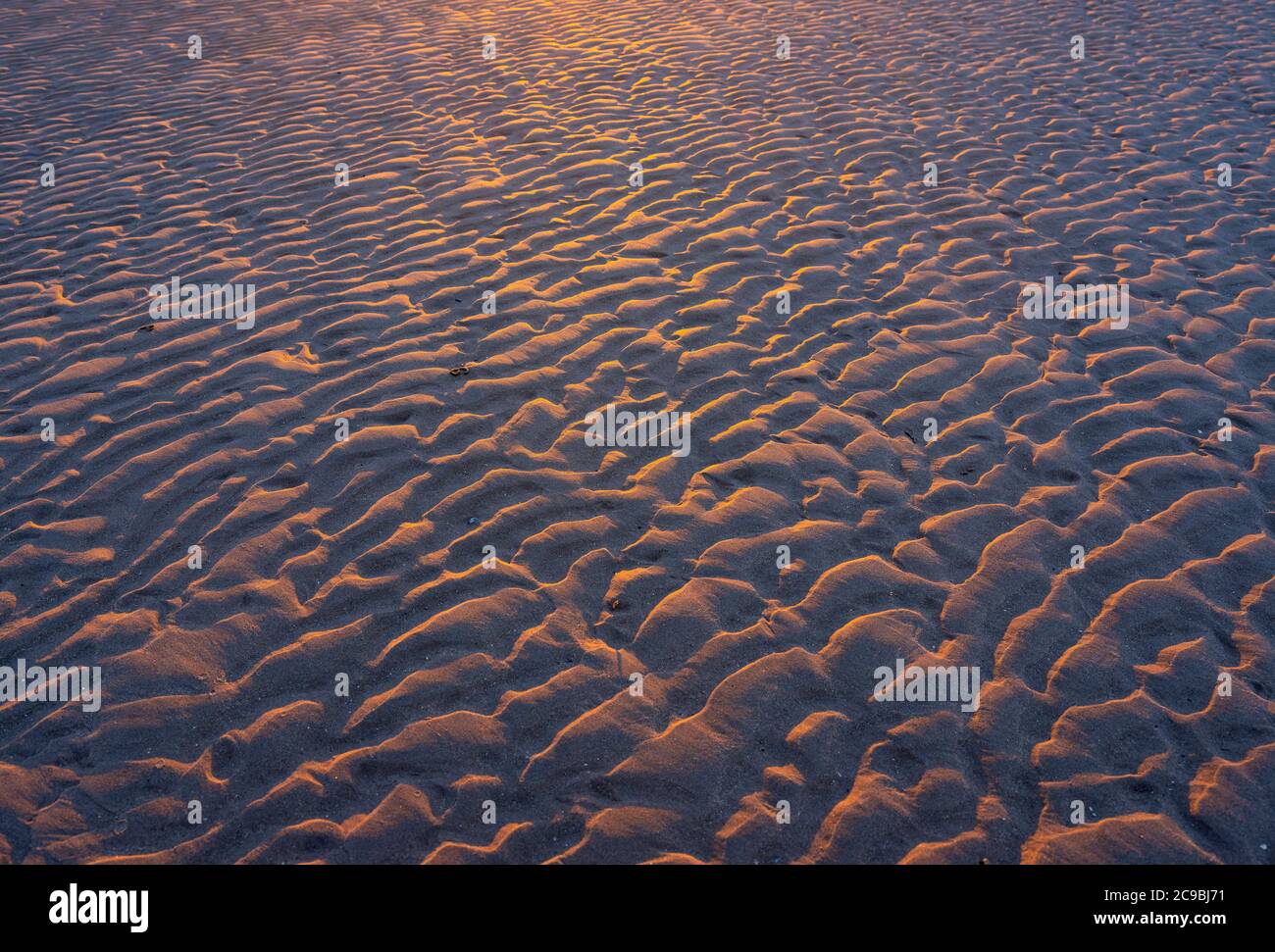 sand ripples on beach in warm light of setting sun Stock Photo - Alamy
