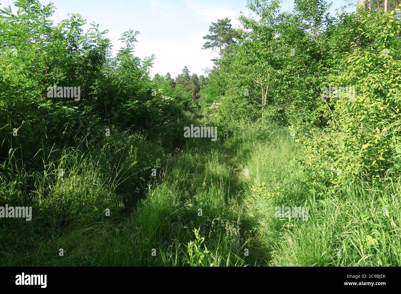 The old country road hi-res stock photography and images - Alamy