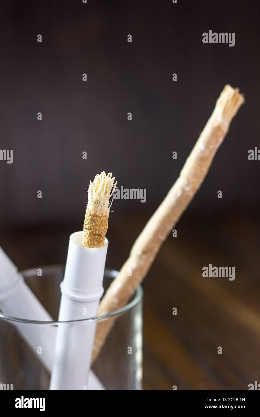 Siwak hi-res stock photography and images - Alamy